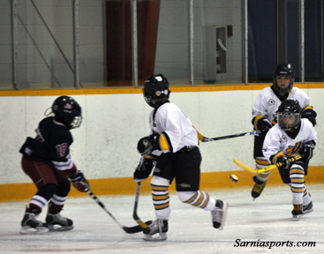 Sarniasports - Sarnia Sting